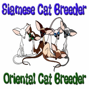PRA in Siamese cats, explanation and suggested breeding practices.