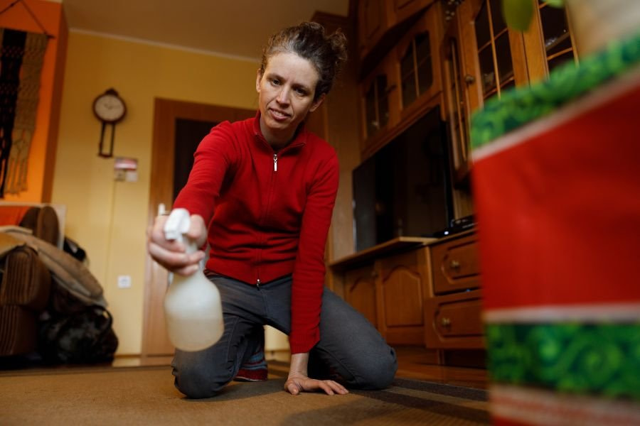 How to Clean Cat Pee: Ultimate Guide to Get Rid of Cat Pee Smell ...