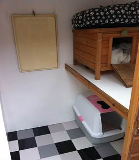 Building a Cat Run - Latest Mews