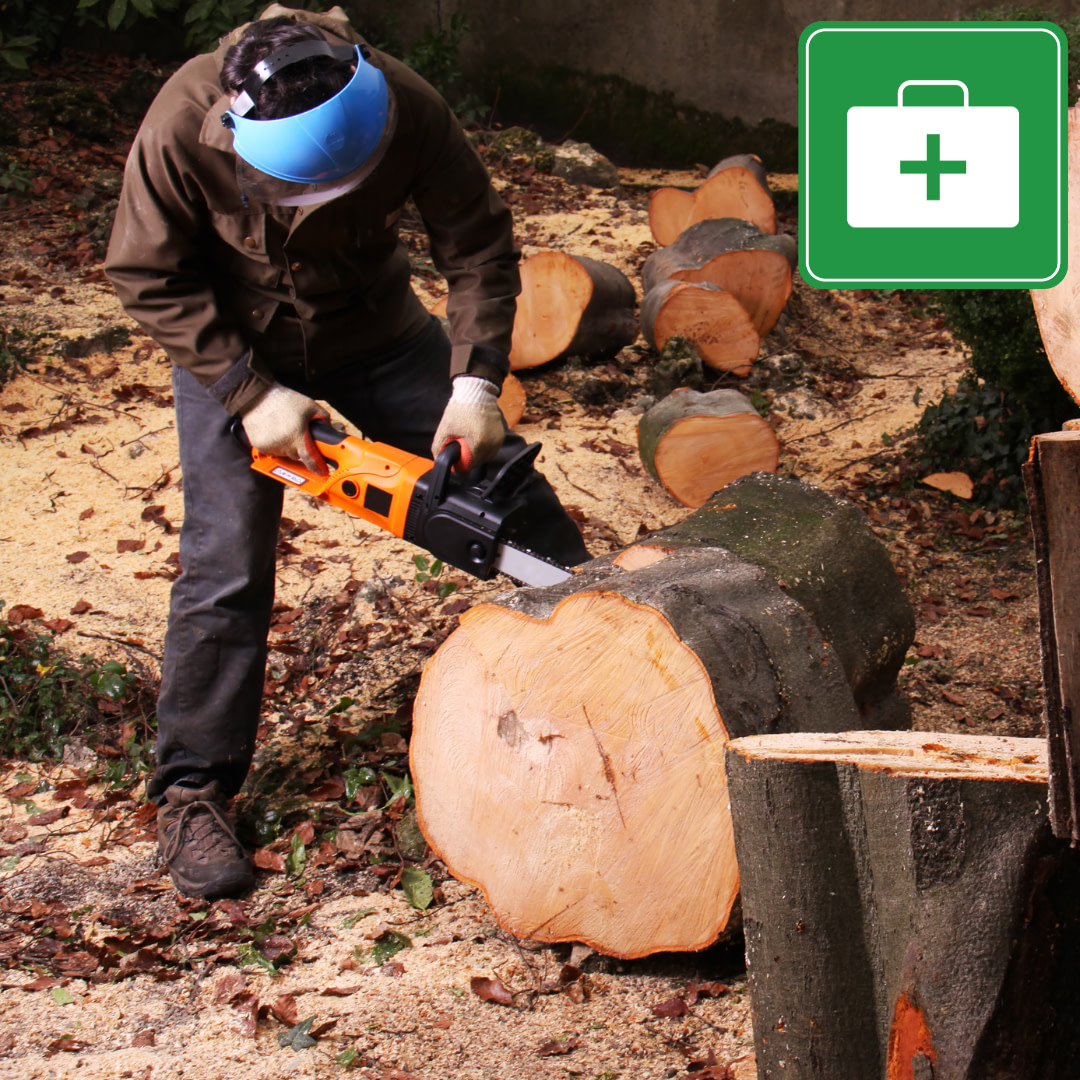 Forestry First Aid | P B Training Services Ltd